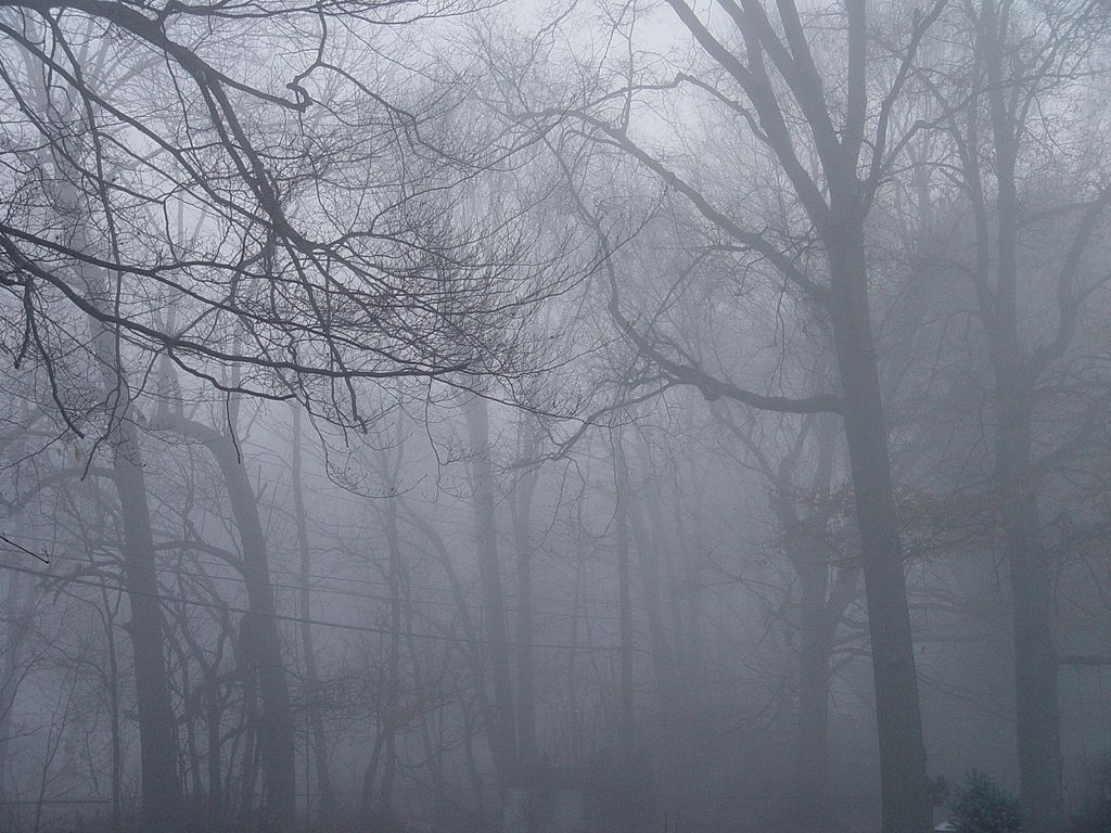 Life in a Fog – A Generous Helping